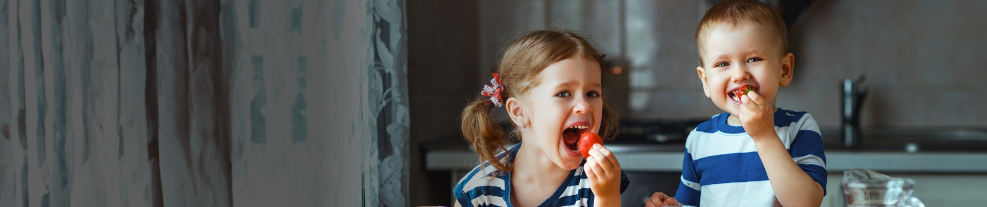 Home - York County Food Bank